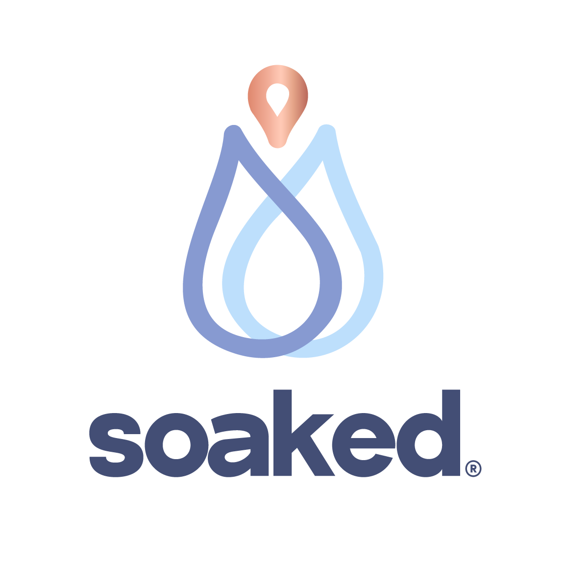 Soaked | Handcrafted Wellness Bath Teas & Shower Melts